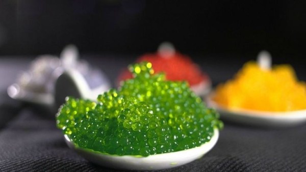 Parmesan Tuile or Crisp recipe - The Gourmet Palette