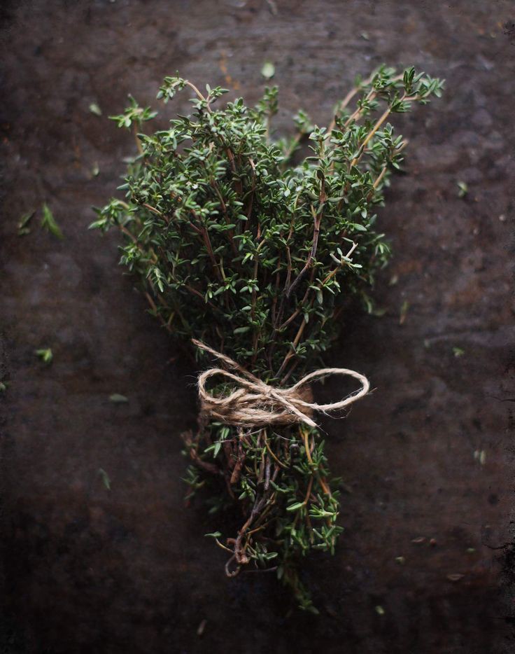 What is thyme and it’s culinary benefits, uses, pairings