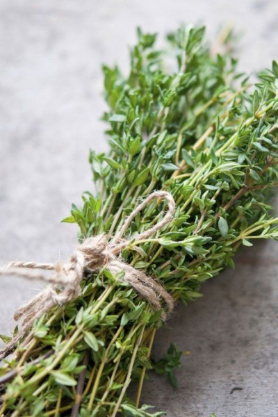 What is thyme and it’s culinary benefits, uses, pairings